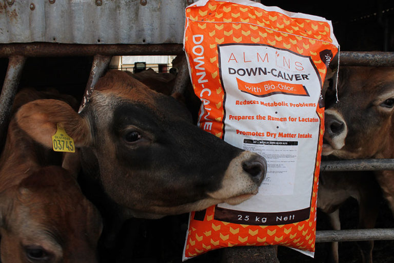 Bio-Chlor - Arm & Hammer - Almins